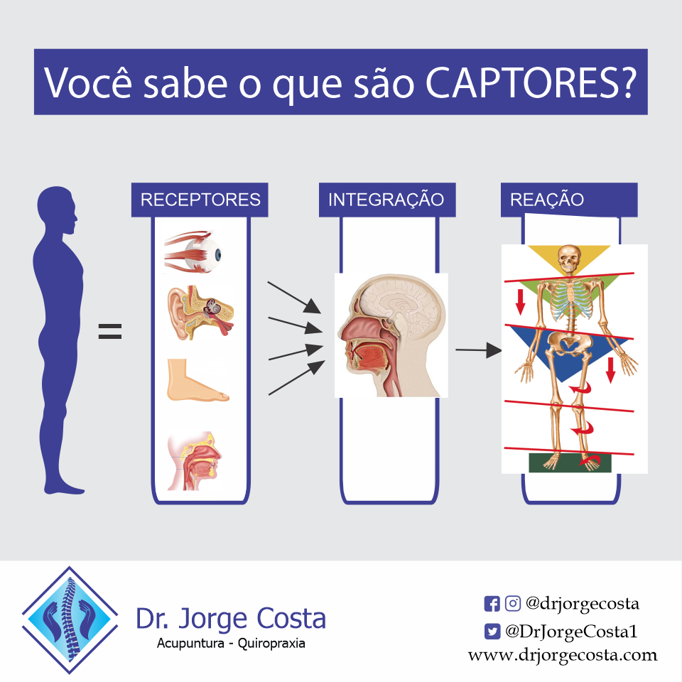 Você sabe o que são captores? – Dr Jorge Costa